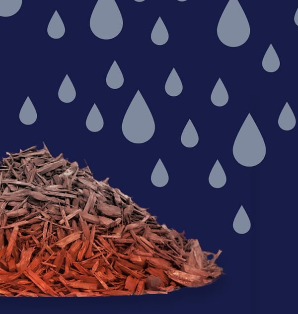 What is Spring Wash and How to Avoid it